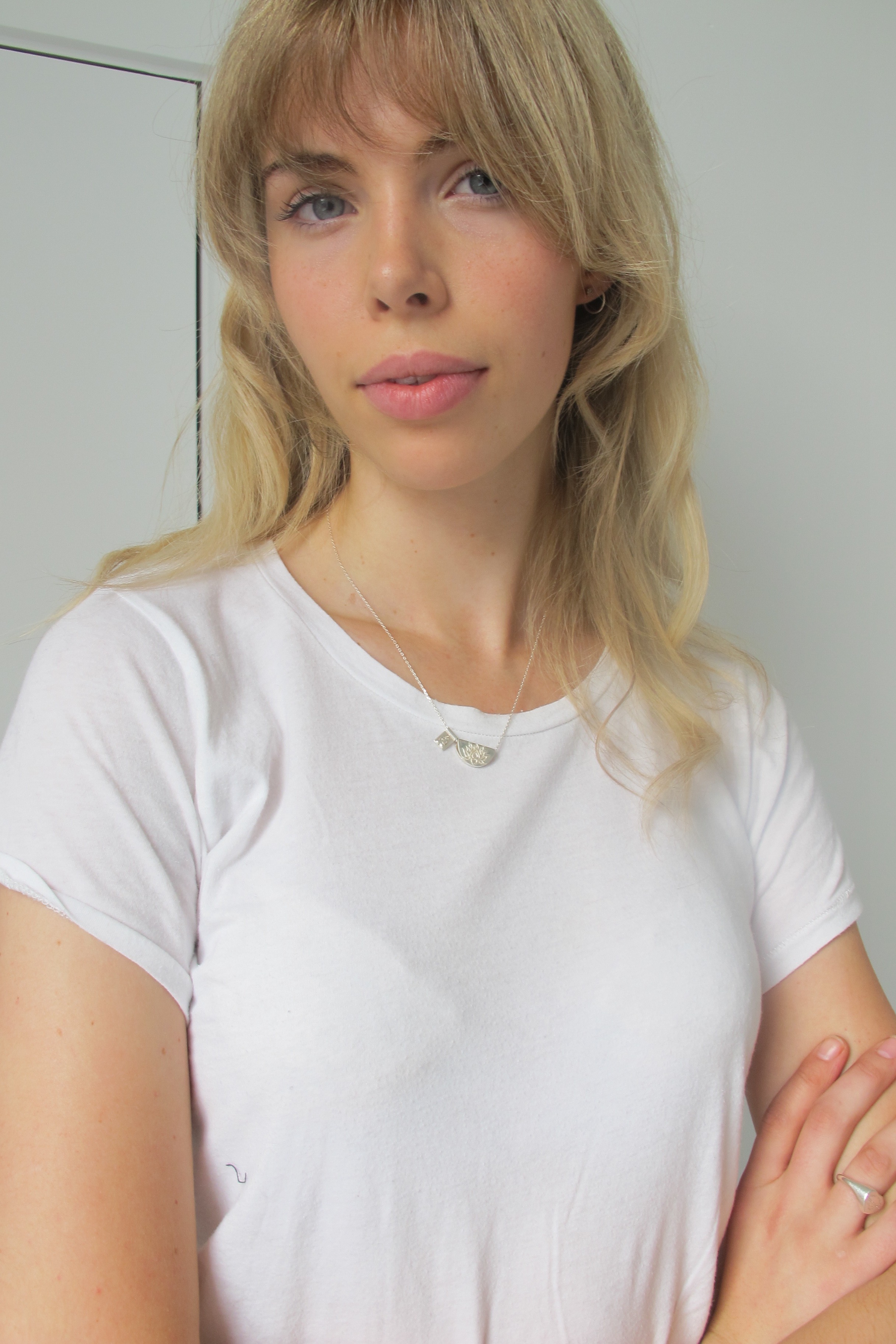 Amber Lyon's Instagram, Twitter & Facebook on IDCrawl